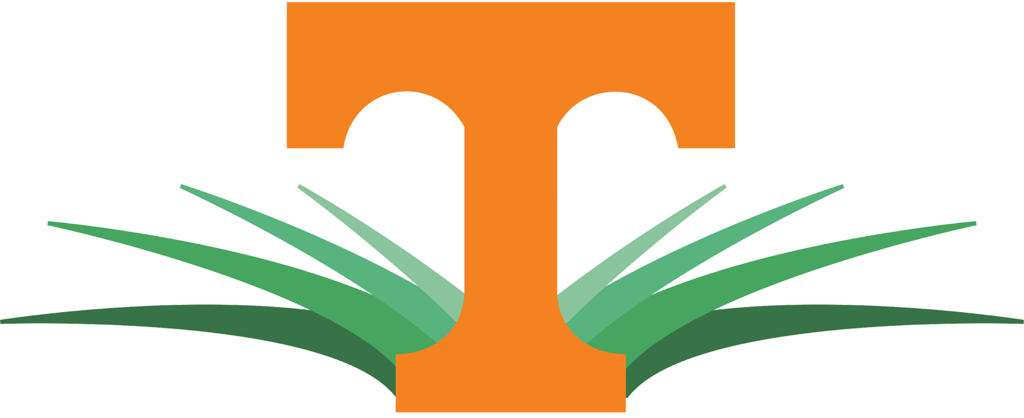 Turfgrass Science and Management | Department of Plant Sciences