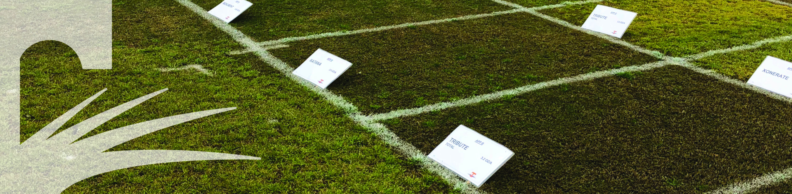 Turfgrass Science and Management | Department of Plant Sciences