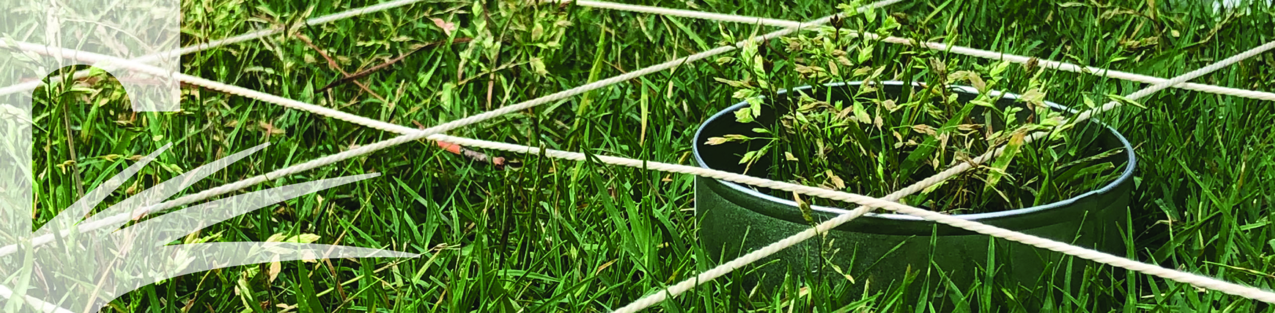 Resources | Department of Plant Sciences