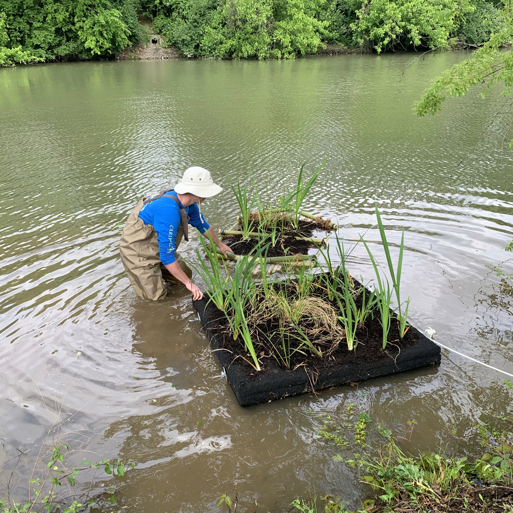 Sustainable Landscape Design | Department of Plant Sciences